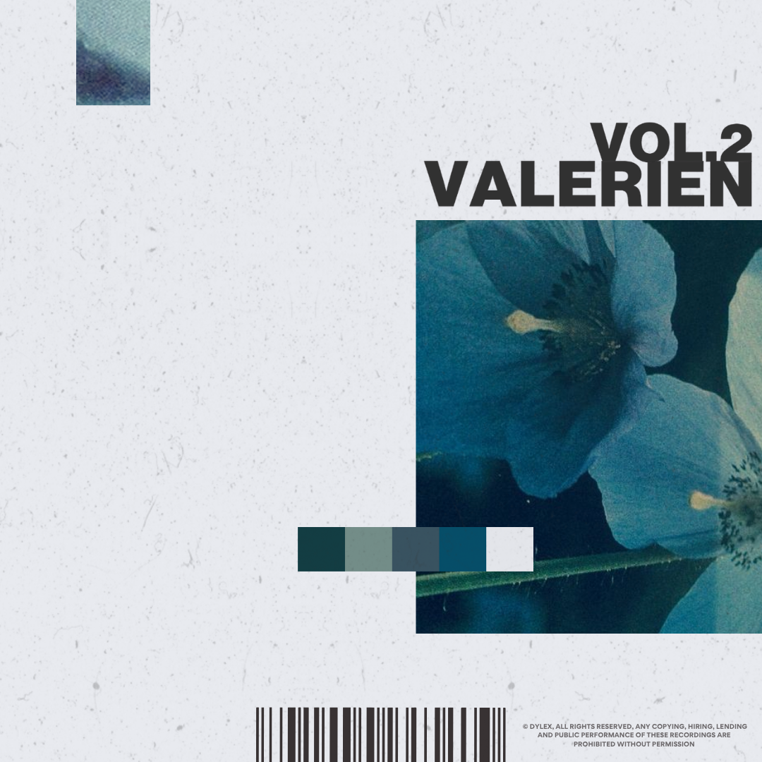 Valerien Vol. 2 | Soul Samples | The Sample Lab