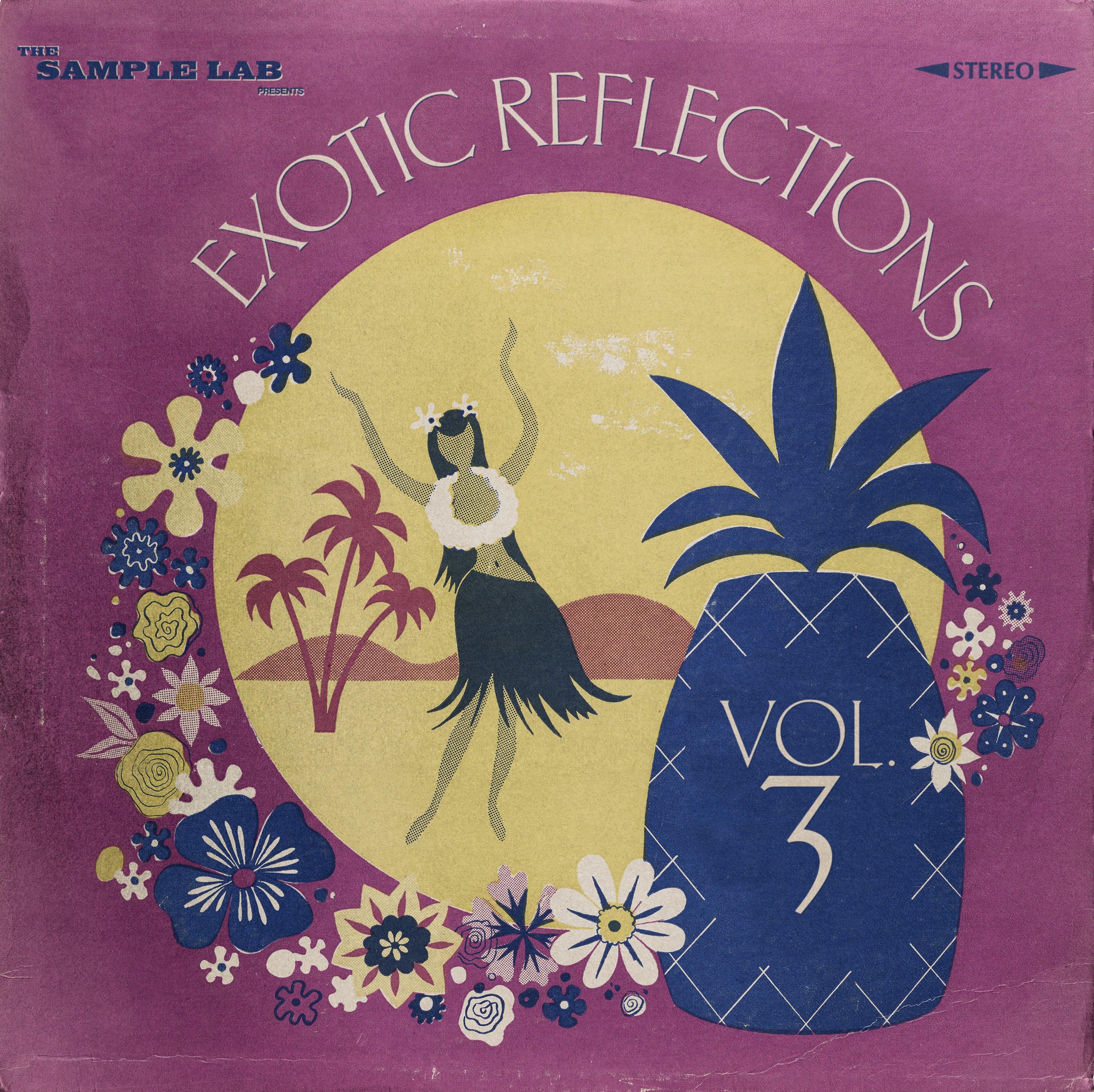 Exotic Reflections Vol 3 | Global Fusion and Ethnic Samples | The Sample Lab