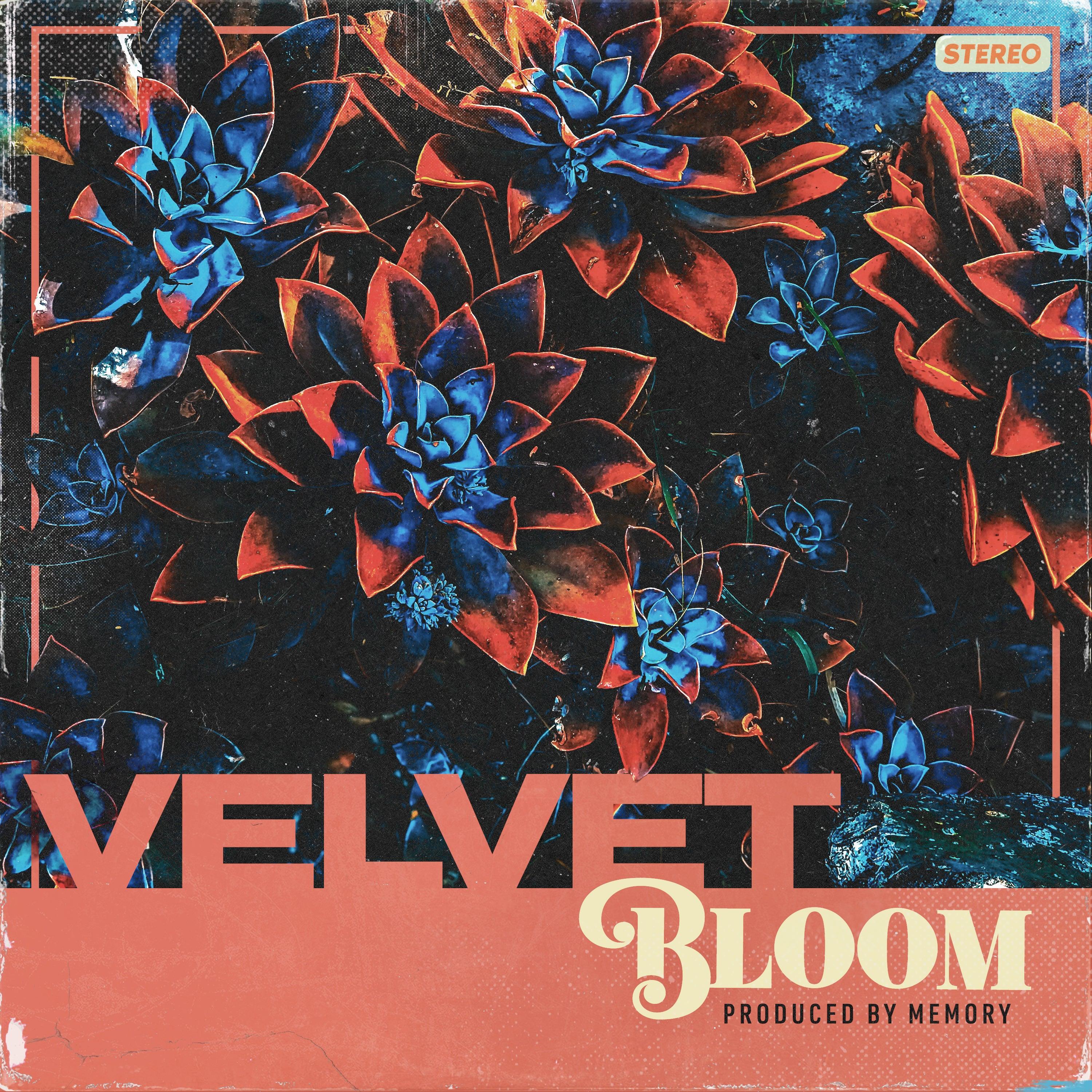 Velvet Bloom | Soulful Samples by Memory | The Sample Lab